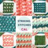 Striking Stitches Crochet Patterns | Knitting with Chopsticks