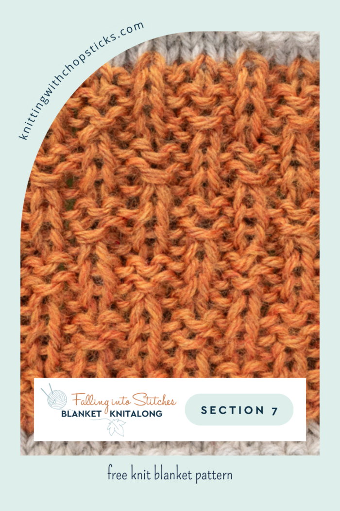 Rattan Blanket Stitch Free Knitting Pattern | Knitting with Chopsticks